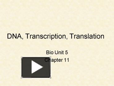 PPT – DNA, Transcription, Translation PowerPoint presentation | free to ...
