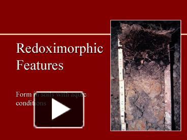 Redoximorphic Features Form in soils with aquic conditions presentation ...