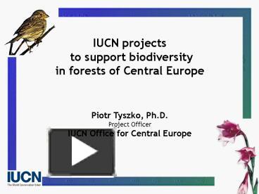 IUCN projects presentation | free to view
