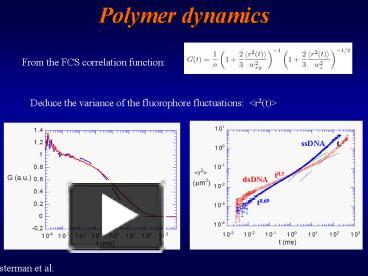 Polymer dynamics presentation | free to view