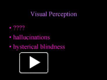 PPT – Visual Perception PowerPoint presentation | free to view - id ...