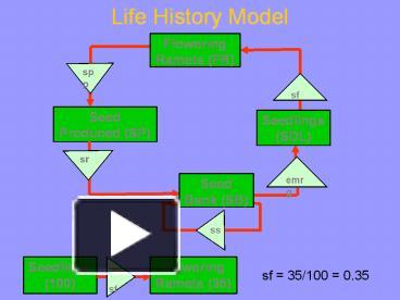 Life History Model presentation | free to view