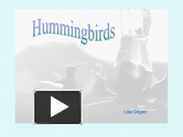 Hummingbirds presentation | free to view