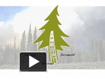 PPT – Evergreen PowerPoint presentation | free to view - id: 11cf32-MjZkN