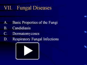 VII.Fungal Diseases presentation | free to view