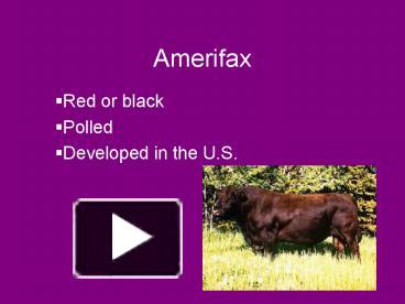 Amerifax presentation | free to view