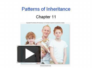PPT – Patterns of Inheritance PowerPoint presentation | free to view ...