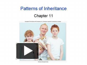 PPT – Patterns of Inheritance PowerPoint presentation | free to view ...
