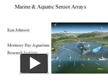 PPT – Marine PowerPoint presentation | free to download - id: 11e3d6-Nzg0Z