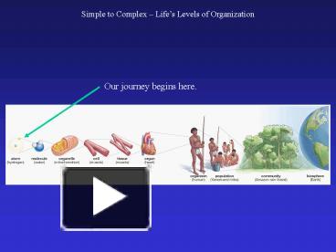 PPT – Simple to Complex Lifes Levels of Organization PowerPoint ...