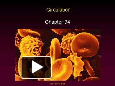 PPT – Circulation PowerPoint presentation | free to view - id: 11f392-OTc1M