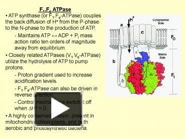 PPT – F1.Fo ATPase PowerPoint presentation | free to view - id: 120048 ...