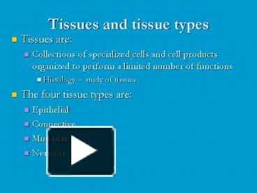 PPT – Tissues are: PowerPoint presentation | free to download - id ...
