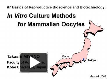 In Vitro Culture Methods presentation | free to view