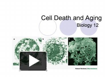 Cell Death and Aging presentation | free to view