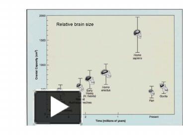 PPT – Relative brain size PowerPoint presentation | free to view - id ...