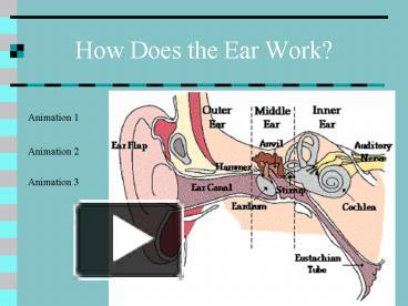 How Does the Ear Work presentation | free to view