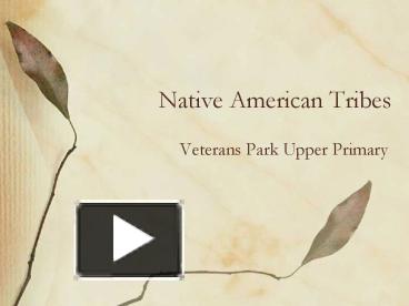 Native American Tribes presentation | free to view