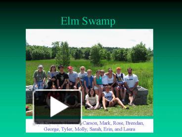 PPT – Elm Swamp PowerPoint presentation | free to download - id: 126ce0 ...