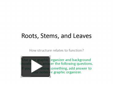 PPT – Roots, Stems, and Leaves PowerPoint presentation | free to view ...