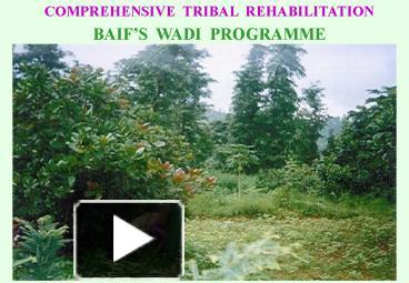COMPREHENSIVE TRIBAL REHABILITATION presentation | free to view