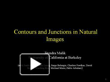 PPT – Contours and Junctions in Natural Images PowerPoint presentation ...