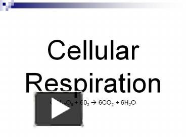 Cellular Respiration C6H12O6 602 6CO2 6H2O presentation | free to view