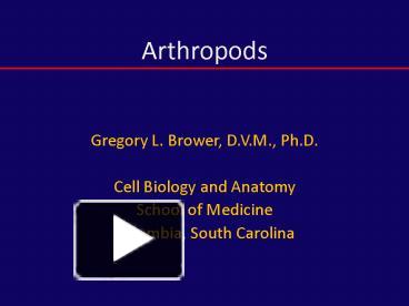 PPT – Arthropods PowerPoint presentation | free to download - id ...