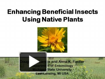 Enhancing Beneficial Insects presentation | free to view