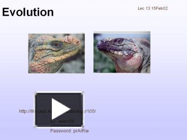 PPT – Evolution PowerPoint presentation | free to download - id: 1299d ...