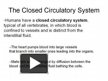 The Closed Circulatory System presentation | free to view