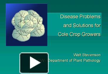 PPT – Walt Stevenson PowerPoint presentation | free to view - id ...