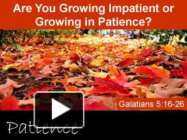 Patience presentation | free to view