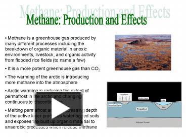 Methane: Production and Effects presentation | free to view