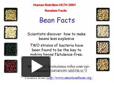 Bean Facts presentation | free to view