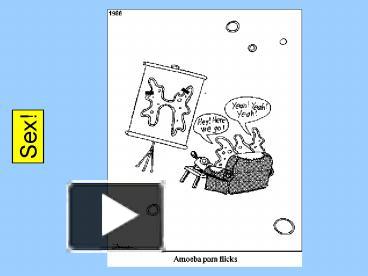 PPT – Sex PowerPoint presentation | free to view - id: 130406-NmQ2Z