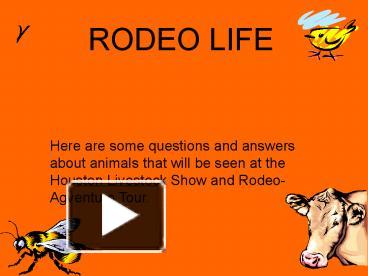 RODEO LIFE presentation | free to view