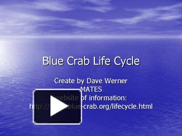 Blue Crab Life Cycle presentation | free to view