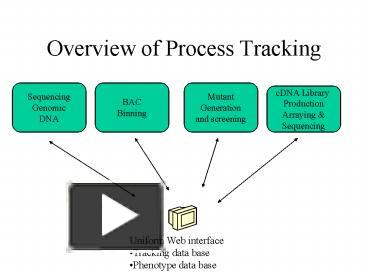 Overview of Process Tracking presentation | free to view