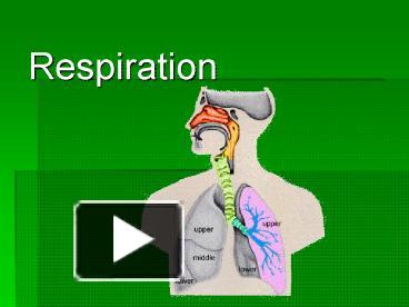 Respiration presentation | free to view