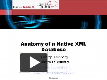 Anatomy of a Native XML Database presentation | free to view