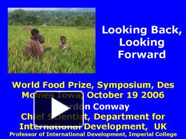PPT – Looking Back, Looking Forward PowerPoint presentation | free to ...
