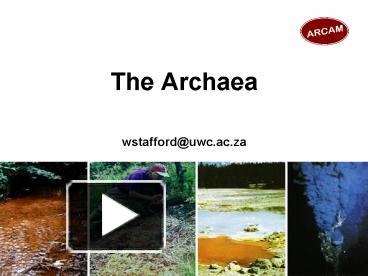PPT – The Archaea PowerPoint presentation | free to view - id: 13b99e-N2JkN