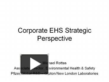 Corporate EHS Strategic Perspective presentation | free to download