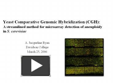 PPT – Yeast Comparative Genomic Hybridization (CGH): A streamlined ...