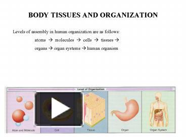 PPT – BODY TISSUES AND ORGANIZATION PowerPoint presentation | free to ...
