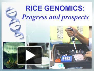 RICE GENOMICS: Progress and prospects presentation | free to view
