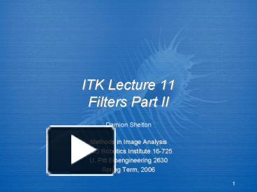 ITK Lecture 11 Filters Part II presentation | free to view