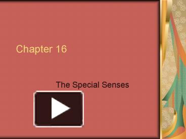 PPT – The Special Senses PowerPoint presentation | free to view - id ...
