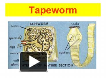 Tapeworm presentation | free to view